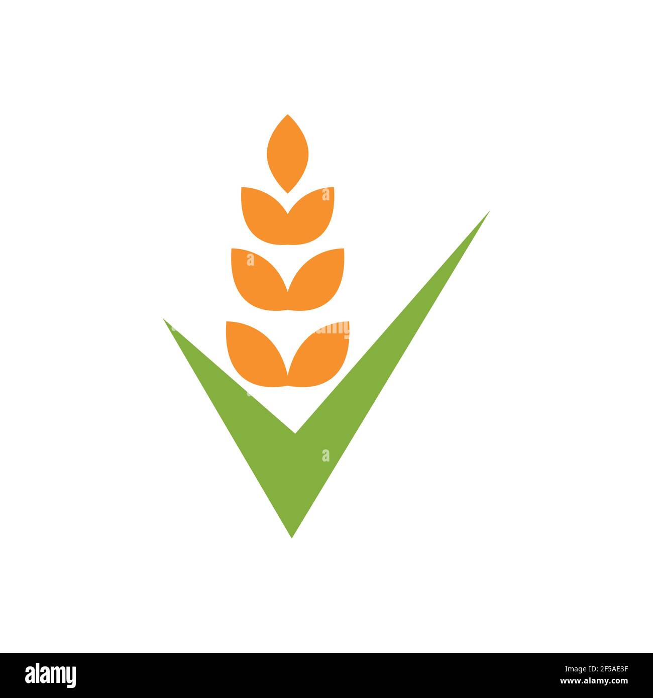 Vector Spikelet isolated on white background. Spica plant. Wheat, rice ...