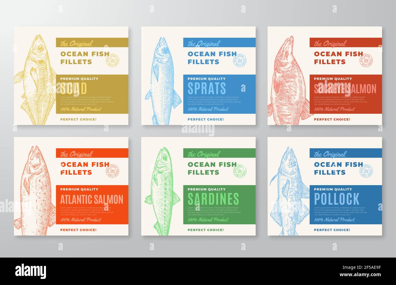 Sockeye salmon illustration Stock Vector Images - Alamy