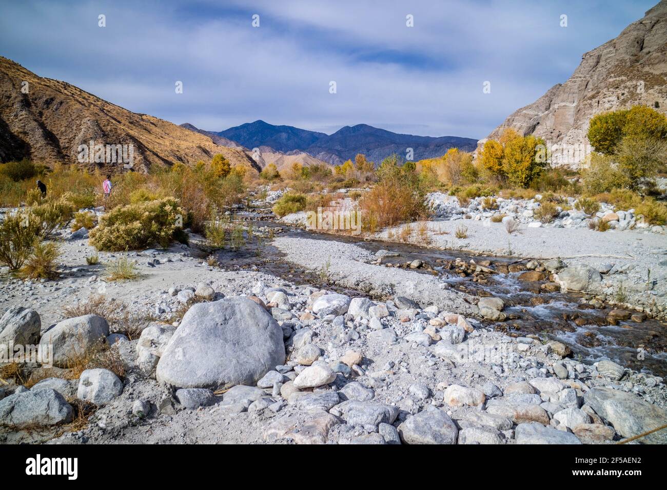 A flowing water in a stream of Whitewater Preserve Wildlands ...