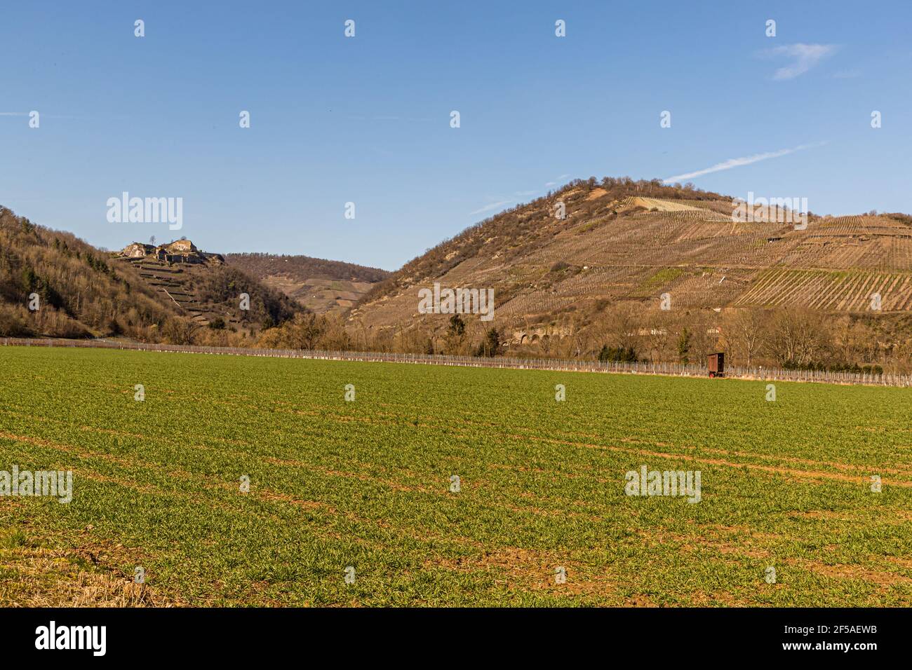 Rech hi-res stock photography and images - Alamy