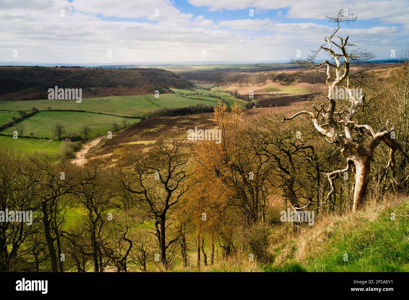 Natural depression hi-res stock photography and images - Alamy
