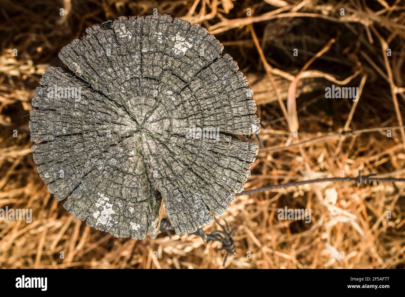 Pasture post hi-res stock photography and images - Alamy