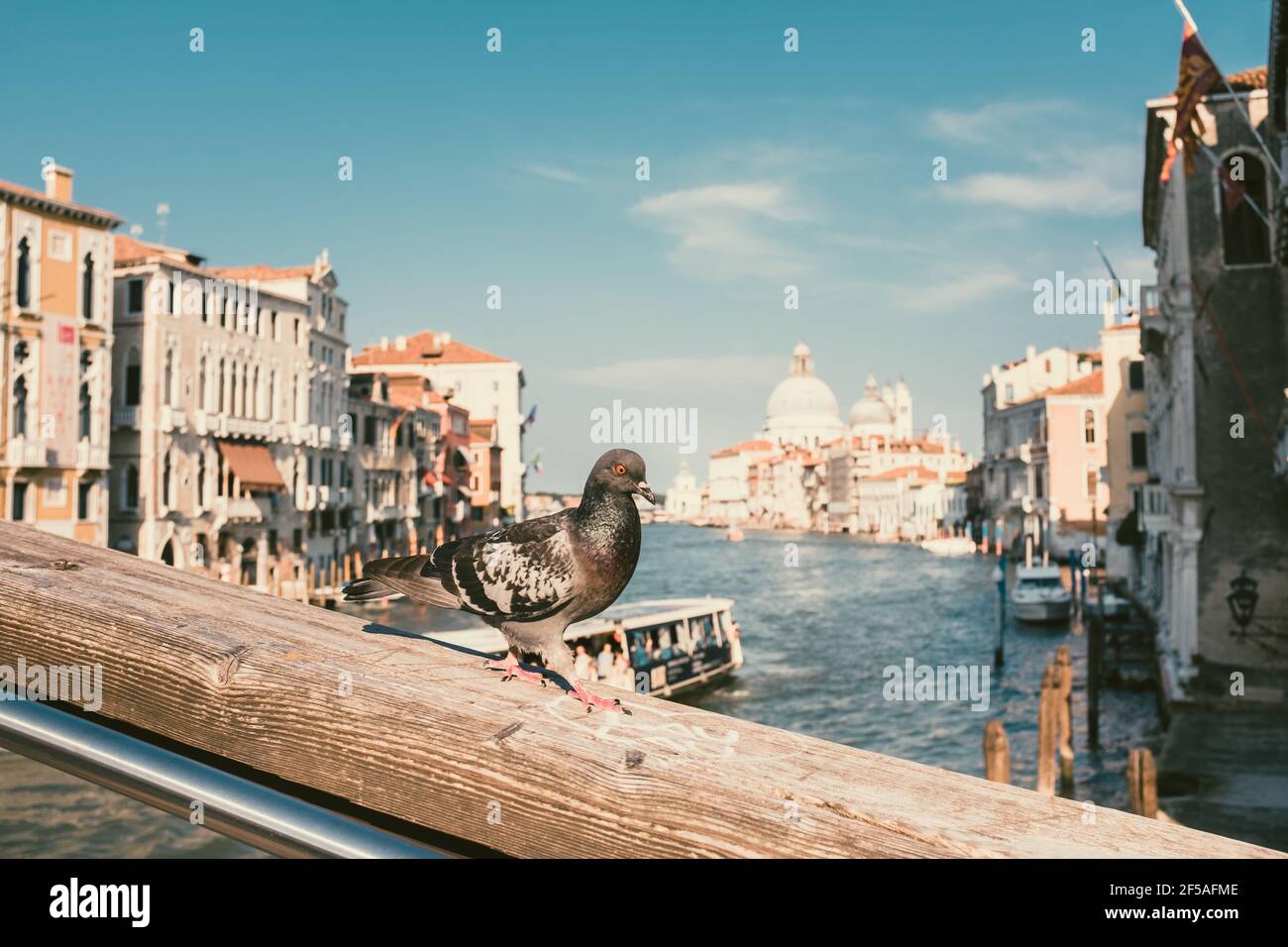 Pidgin church hi-res stock photography and images - Alamy