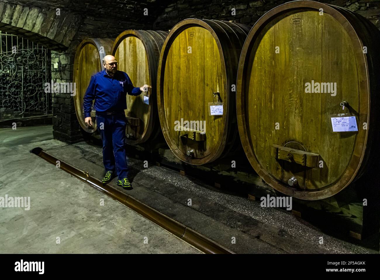 Wine cellar of the oldest wine cooperative in the world in Mayschoß ...