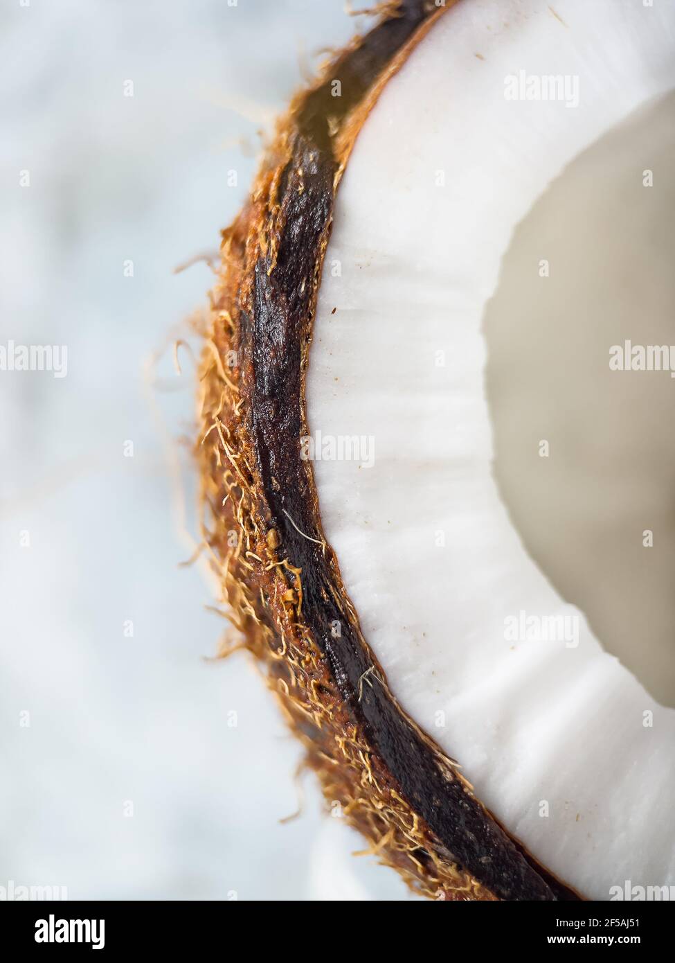 Half of coconut closeup over blue background. Macro photo of coconut ...