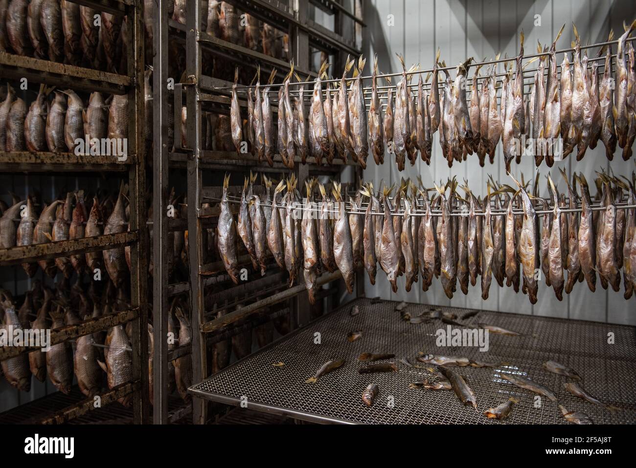 Smoked fish production concept: smoked fish in smokehouse box Stock ...
