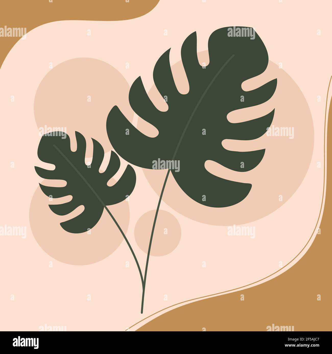 aesthetic botanical art Stock Vector Image & Art - Alamy