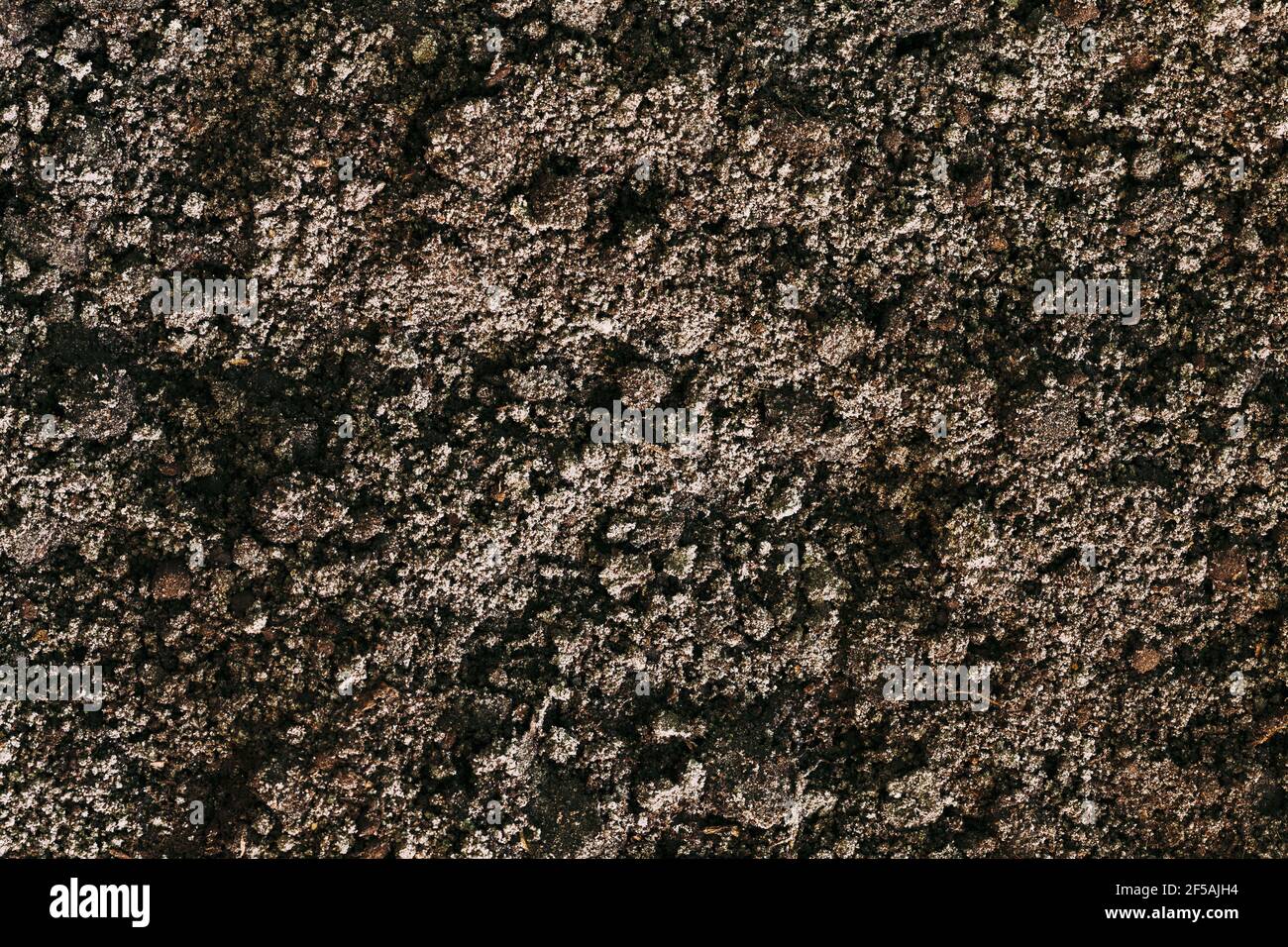 Soil dirt background texture, natural pattern. Agricultural background ...
