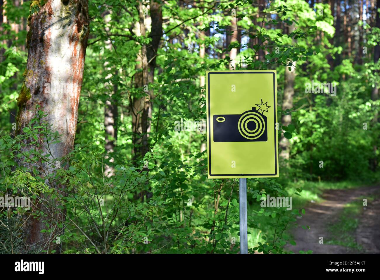 Banner with a camera at the entrance to the forest. Sign that video ...