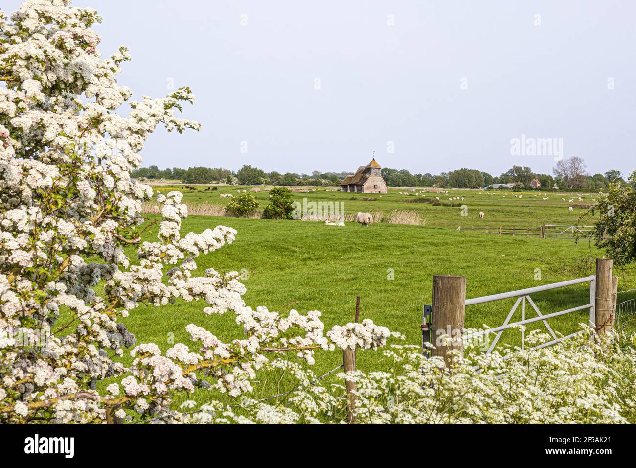 Churches of romney marsh hi-res stock photography and images - Alamy