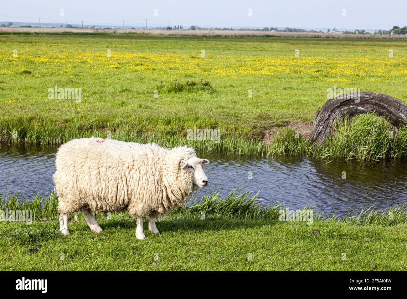 Kent scenery hi-res stock photography and images - Alamy