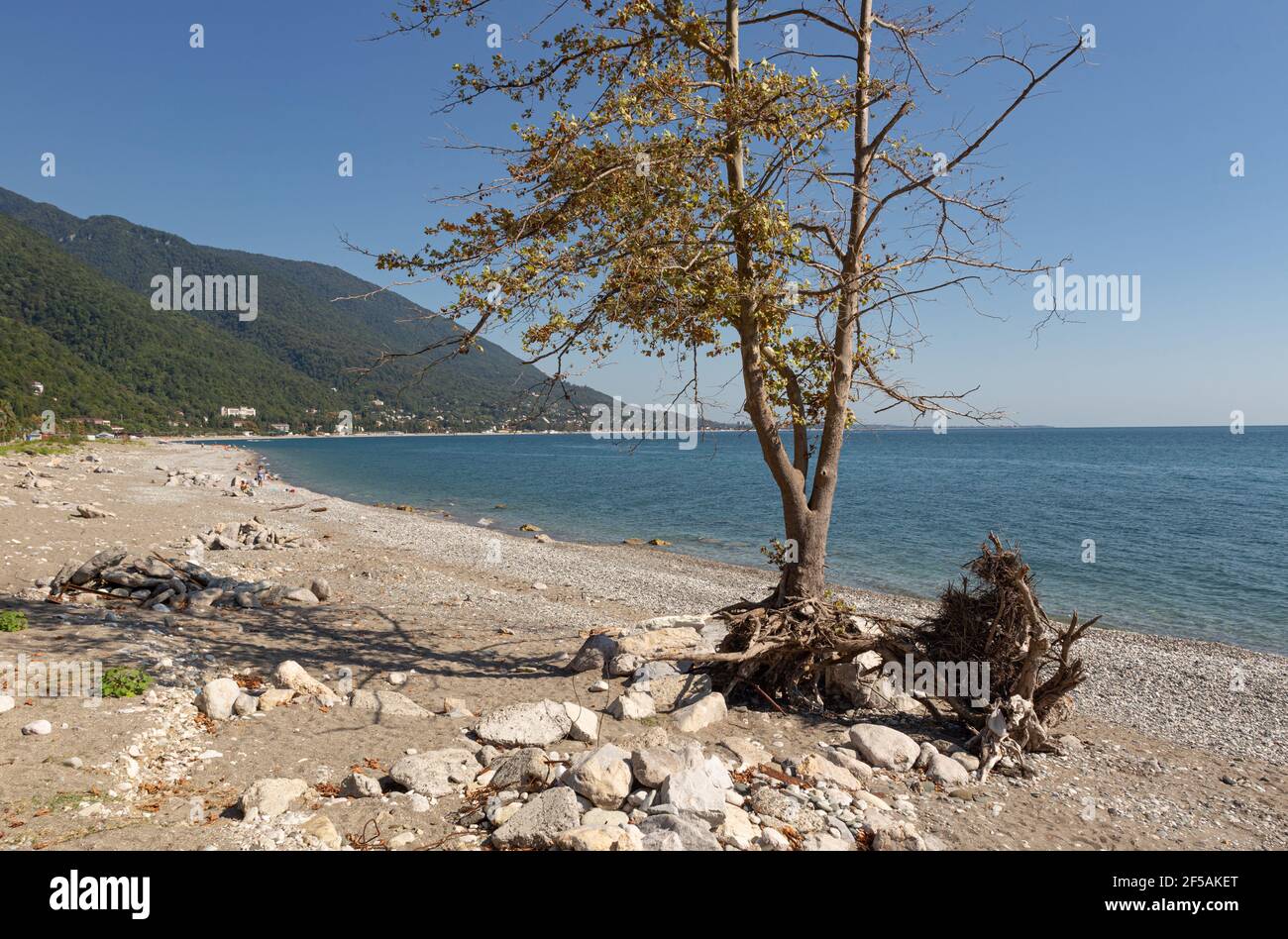 Gagra beach hi-res stock photography and images - Alamy