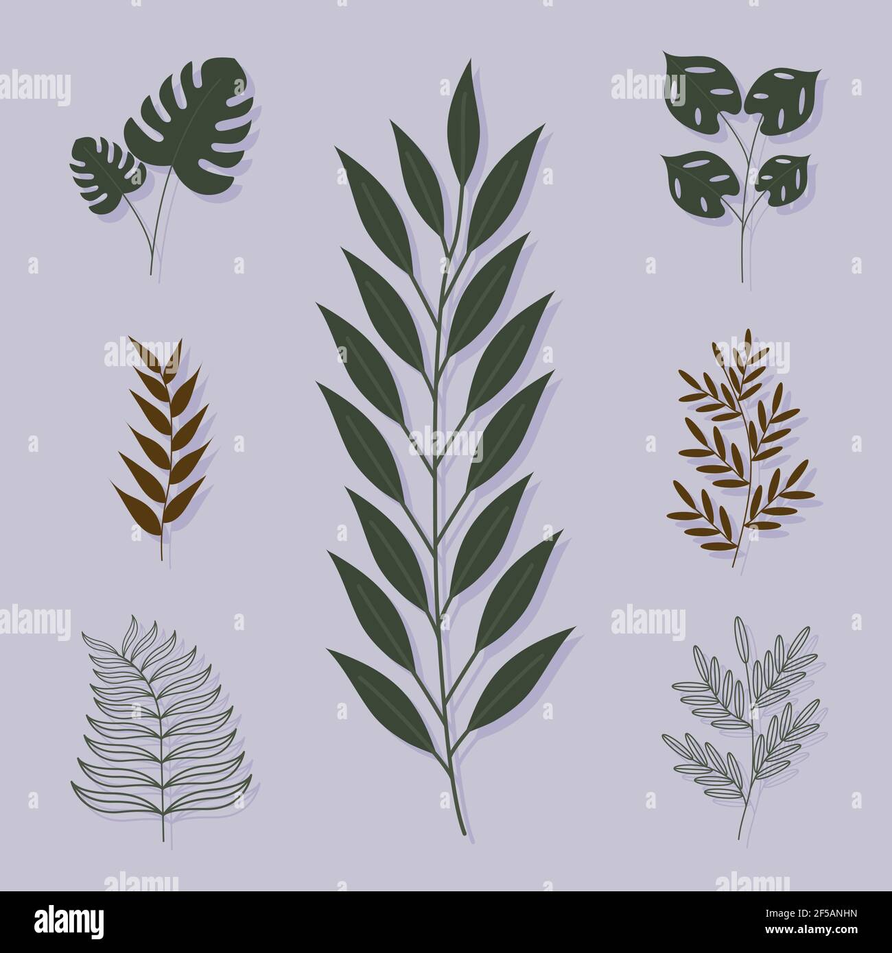 seven botanical icons Stock Vector Image & Art - Alamy