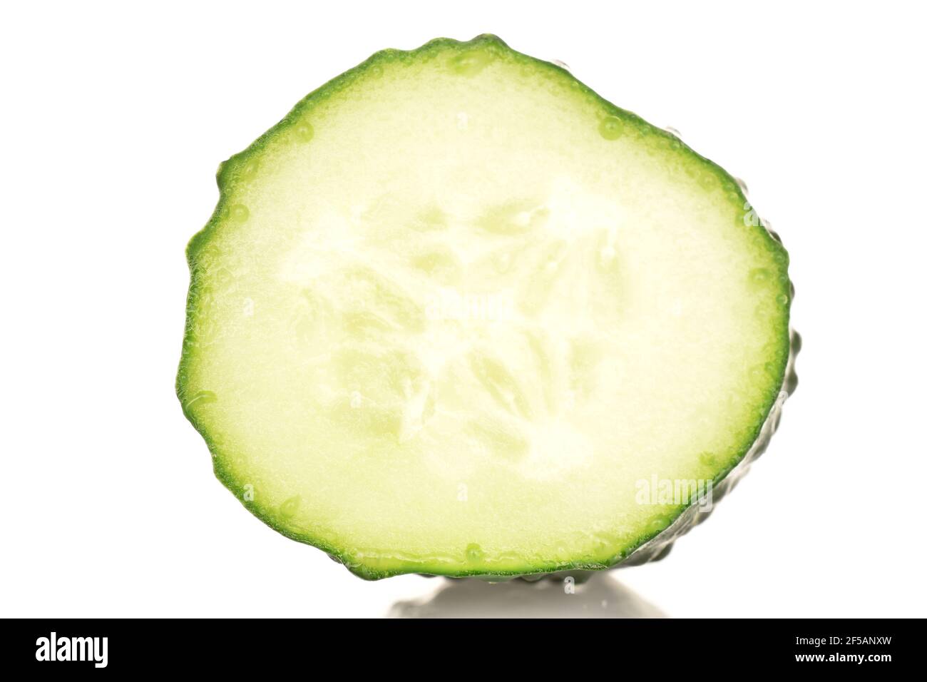 One piece of green organic ripe juicy cucumber, close-up, on a white ...