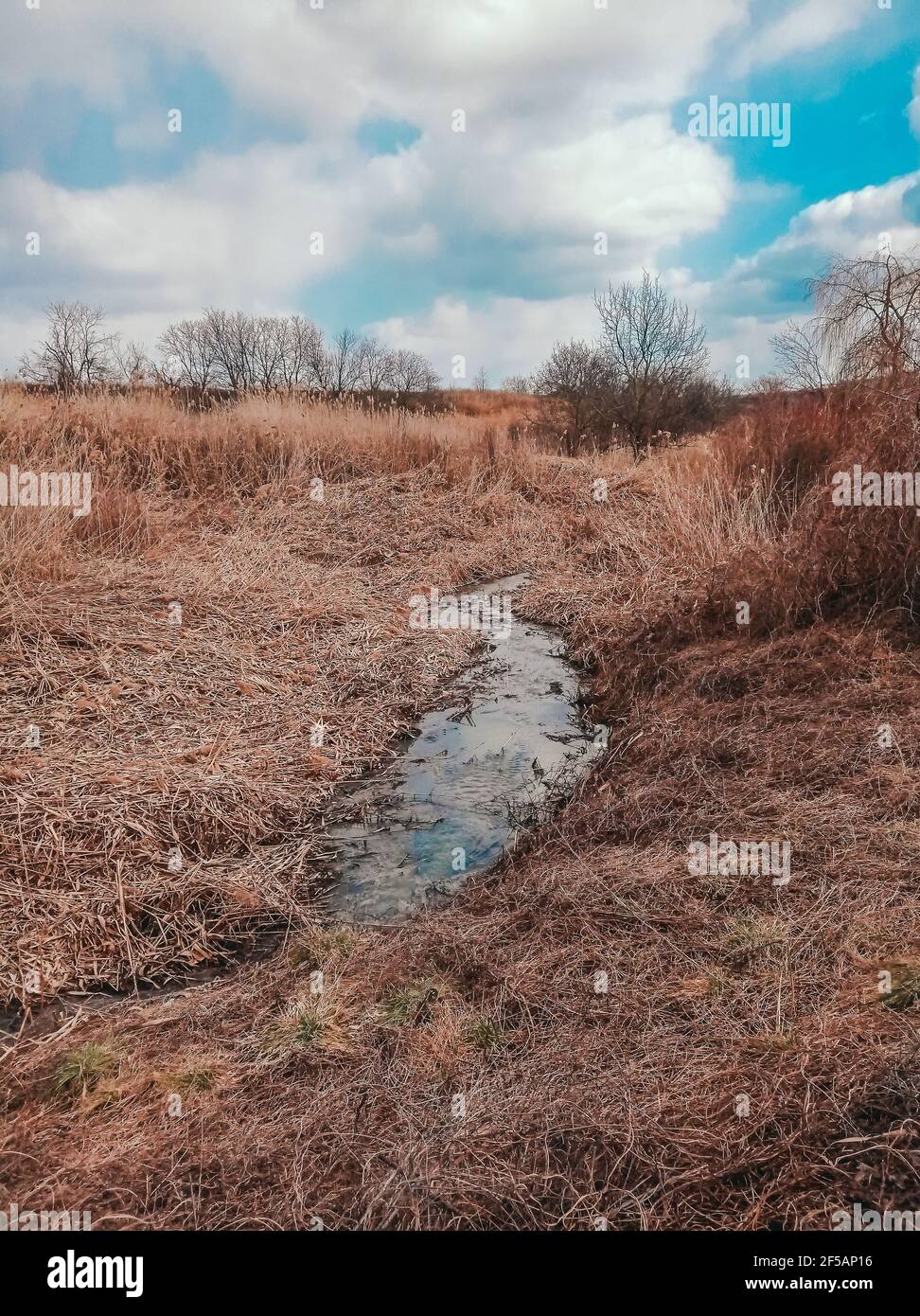 Drying up the river or lake. Swamp with mud in autumn weather. Dry ...