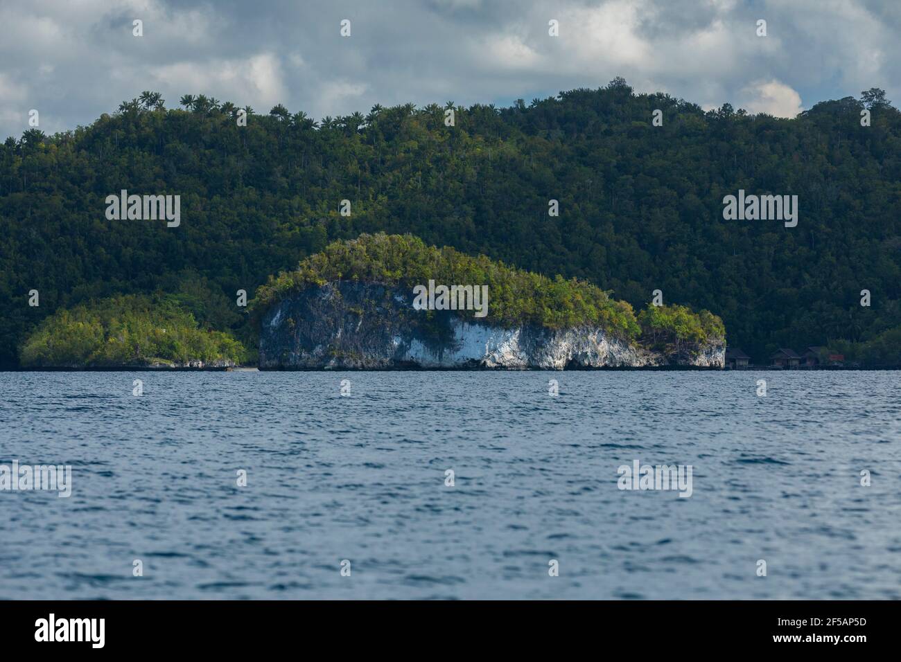 Small tropical island, worn by sea water, covered with lush vegetation ...