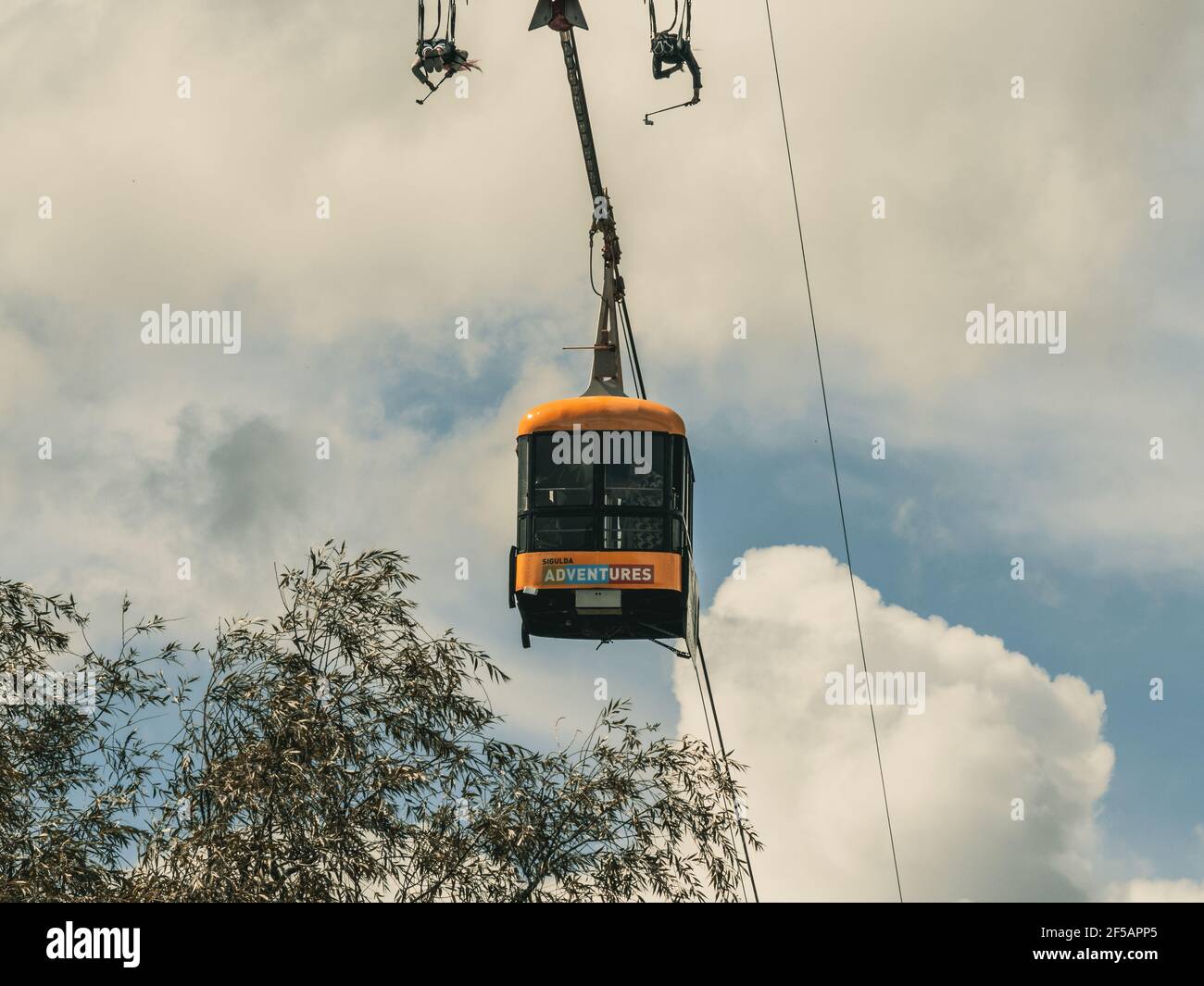 Zipline atraction and Thick colourful forest in autumn season in Gauja ...