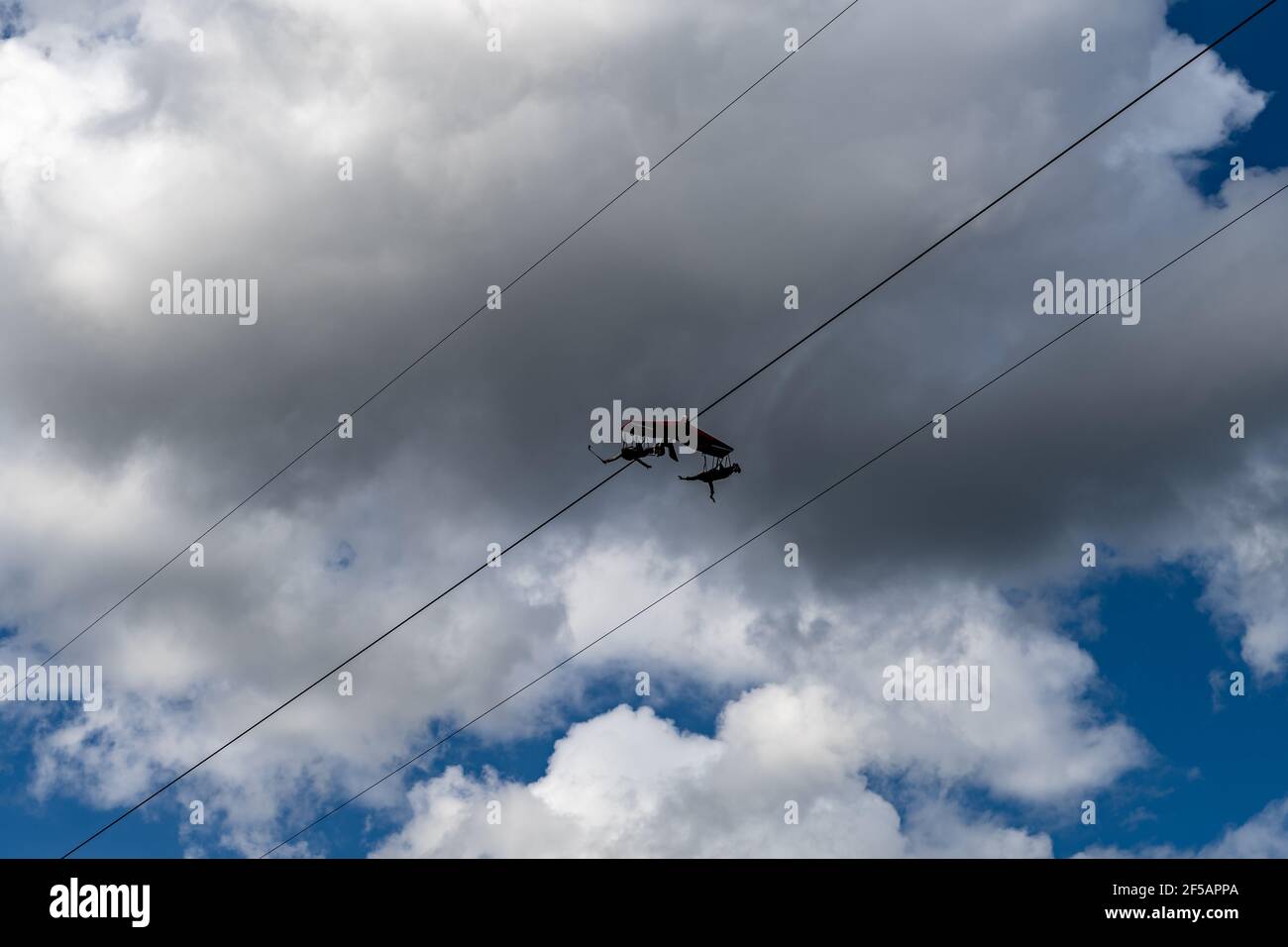 Zipline atraction and Thick colourful forest in autumn season in Gauja ...