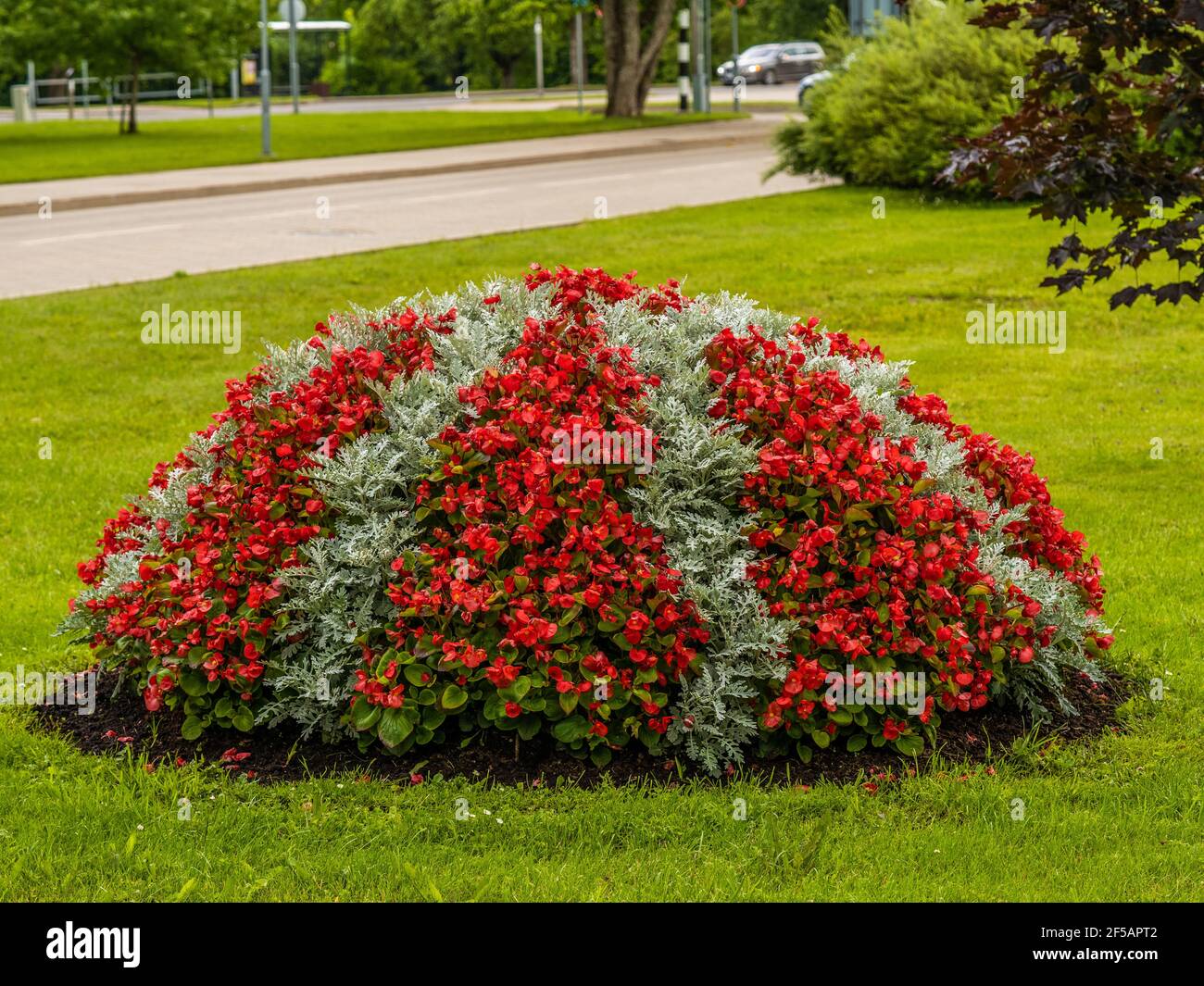 Sightseeing of Latvia. Cane Park is a popular tourist attraction and ...