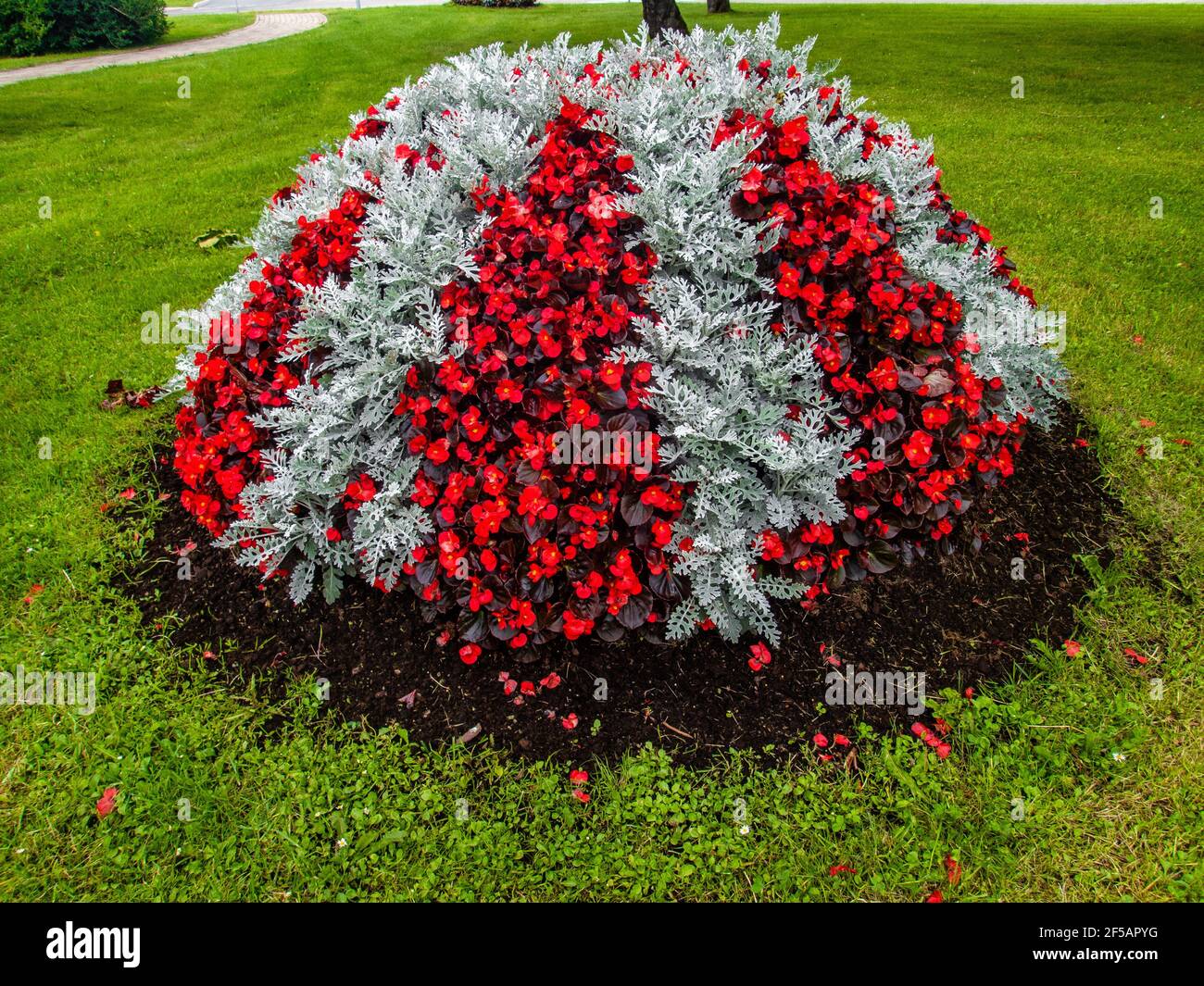 Country park symbol hi-res stock photography and images - Alamy