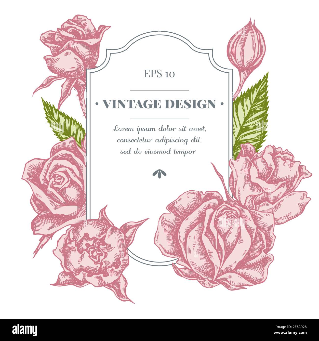 Badge design with pastel roses Stock Vector Image & Art - Alamy