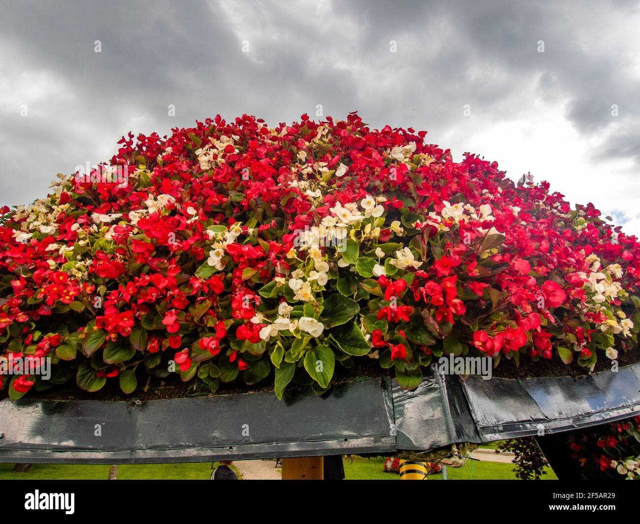 Sightseeing of Latvia. Cane Park is a popular tourist attraction and ...