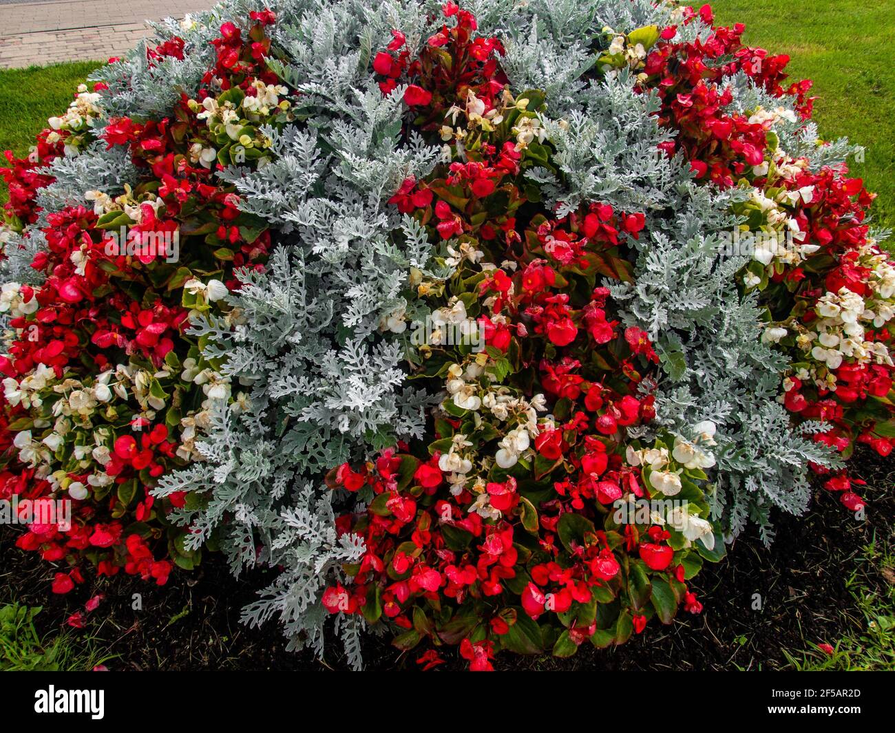 Sightseeing of Latvia. Cane Park is a popular tourist attraction and ...