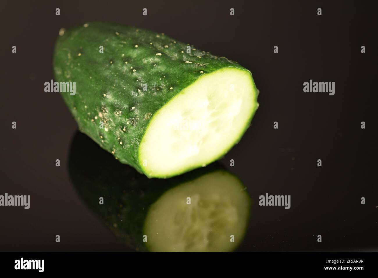 One piece of green organic ripe juicy cucumber, close-up, on a black ...
