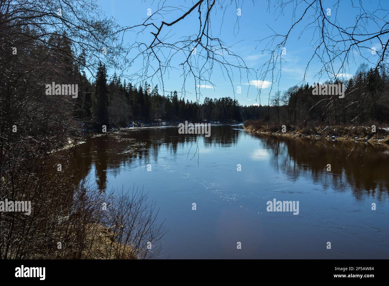 Wetland spring hi-res stock photography and images - Alamy