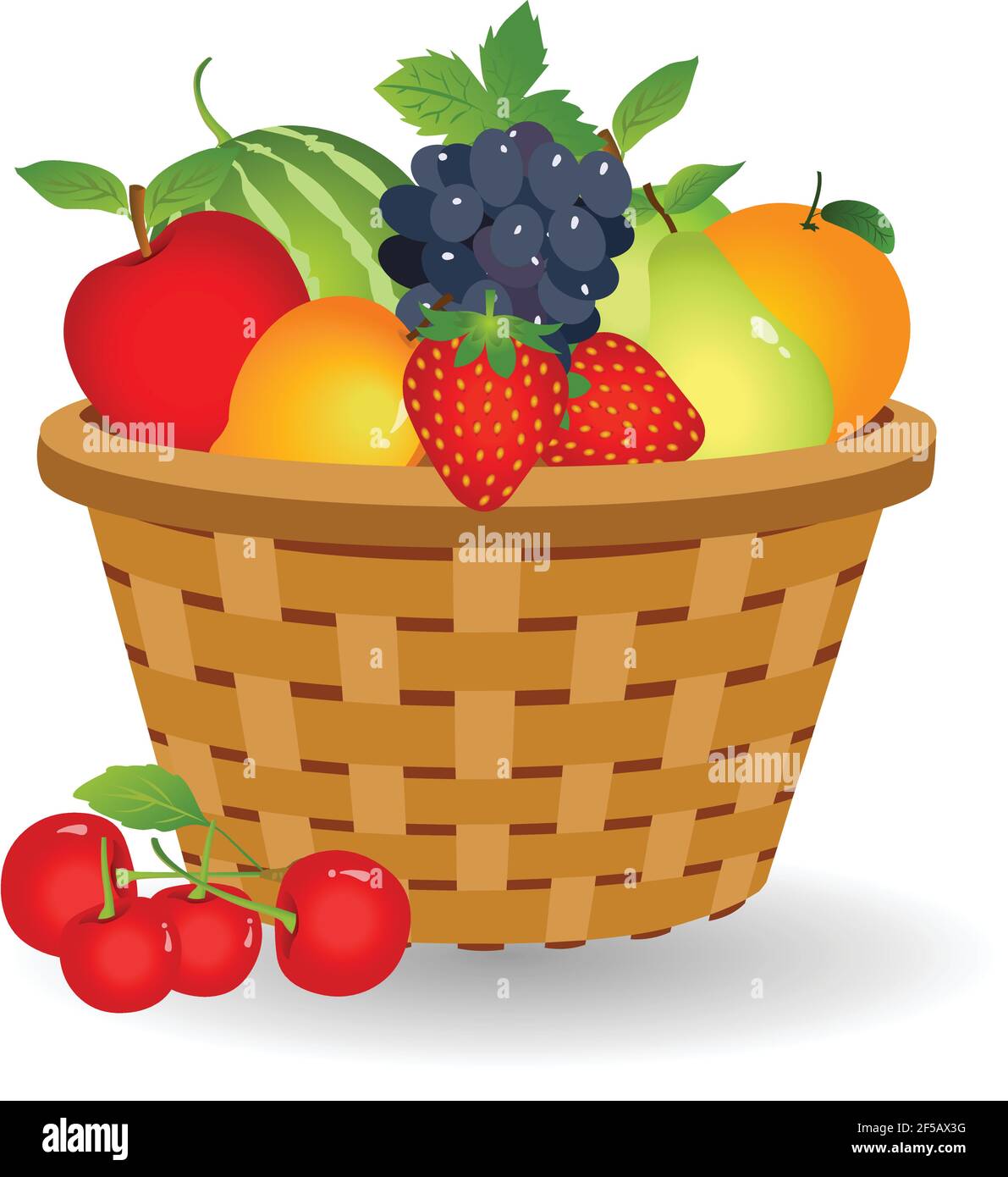 Fresh fruit basket vector illustration, Beautiful fruit background ...