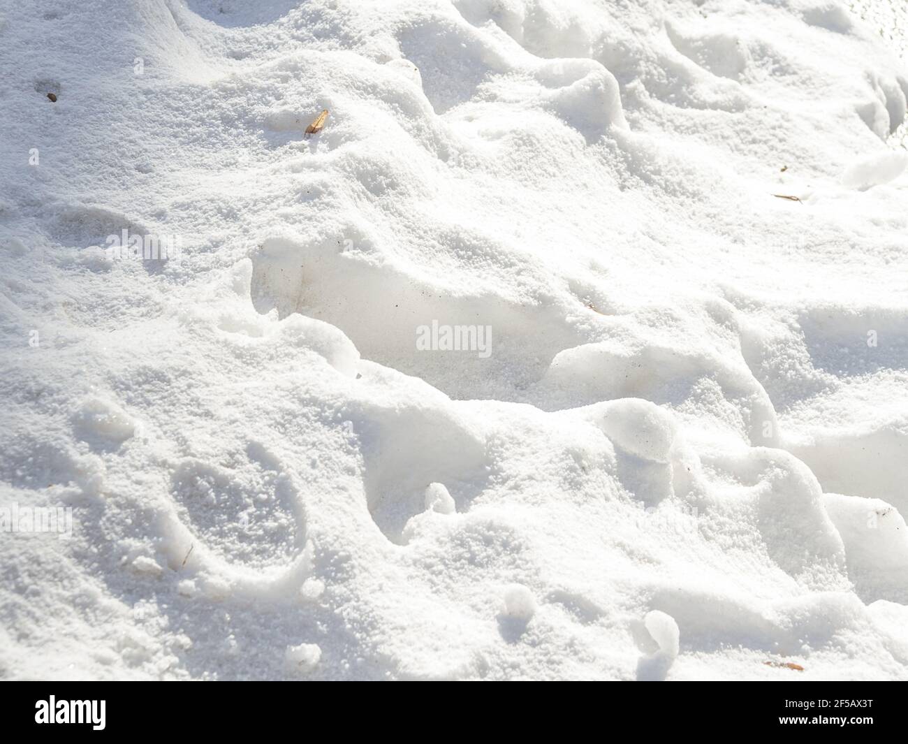 White snow texture. Snowy background for a winter scene Stock Photo - Alamy