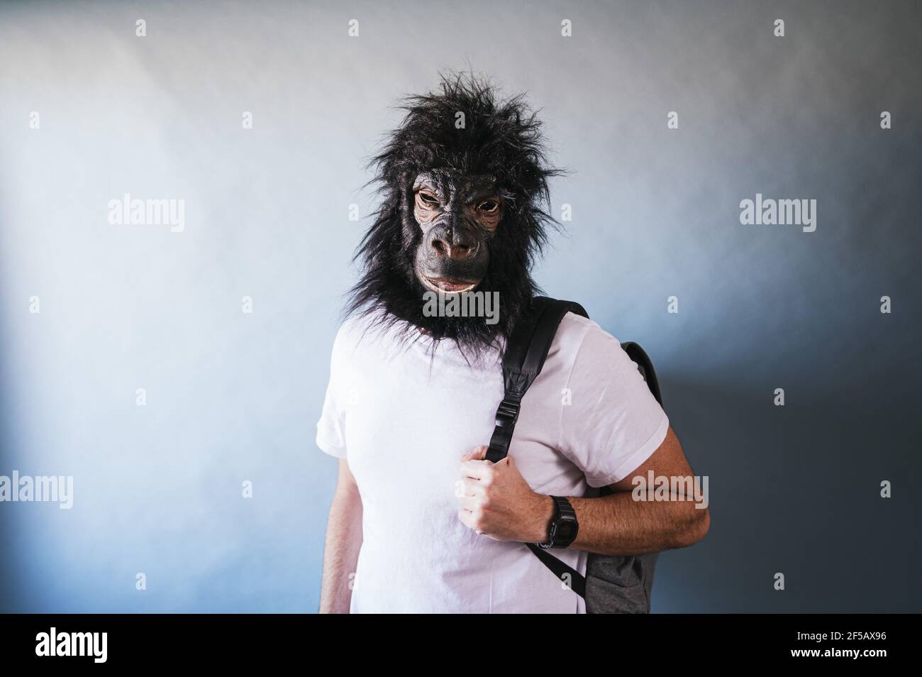 Man in monkey costume hi-res stock photography and images - Alamy