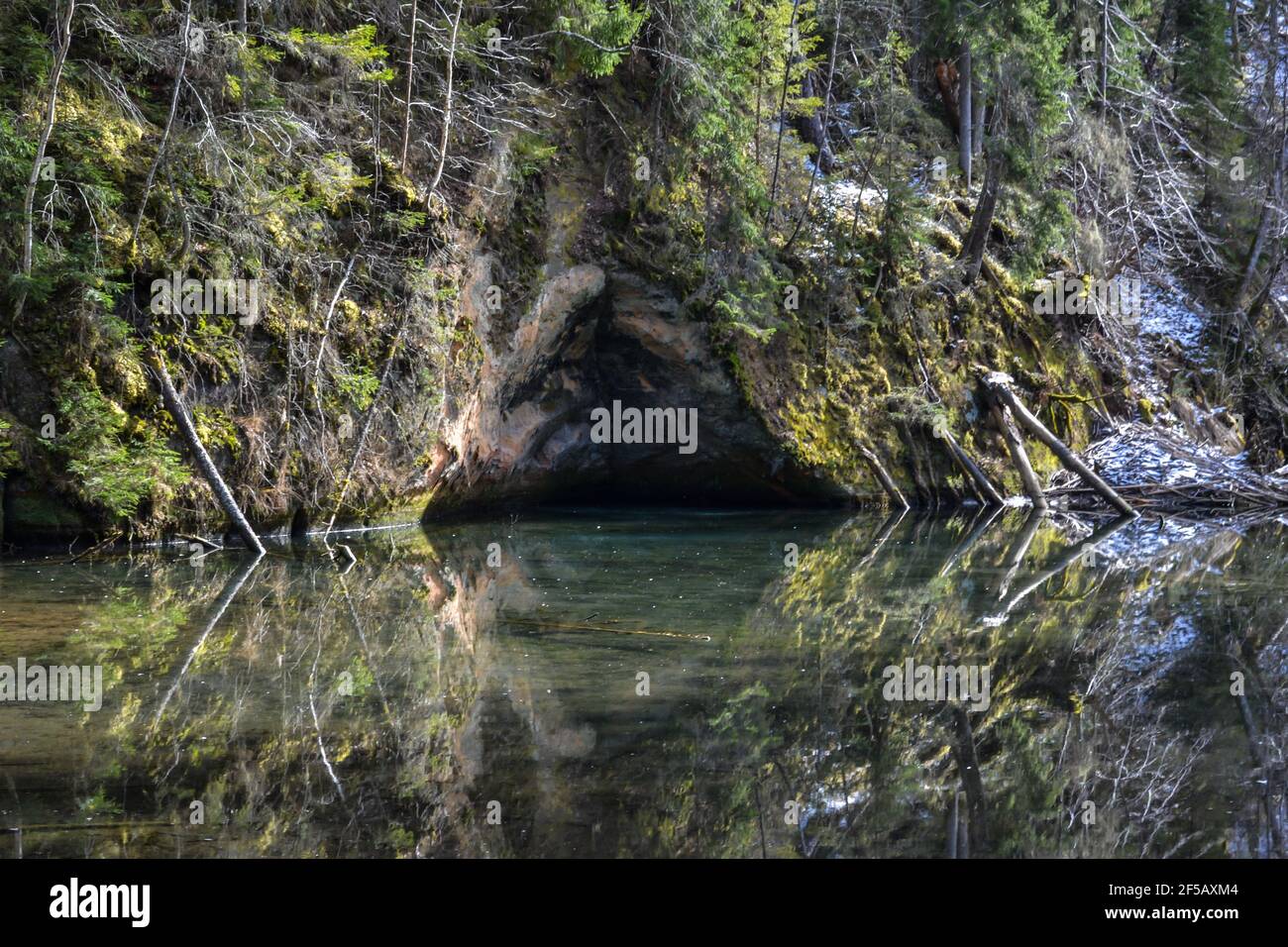 sandstone cliffs on the bank of a forest river with a perfect ...