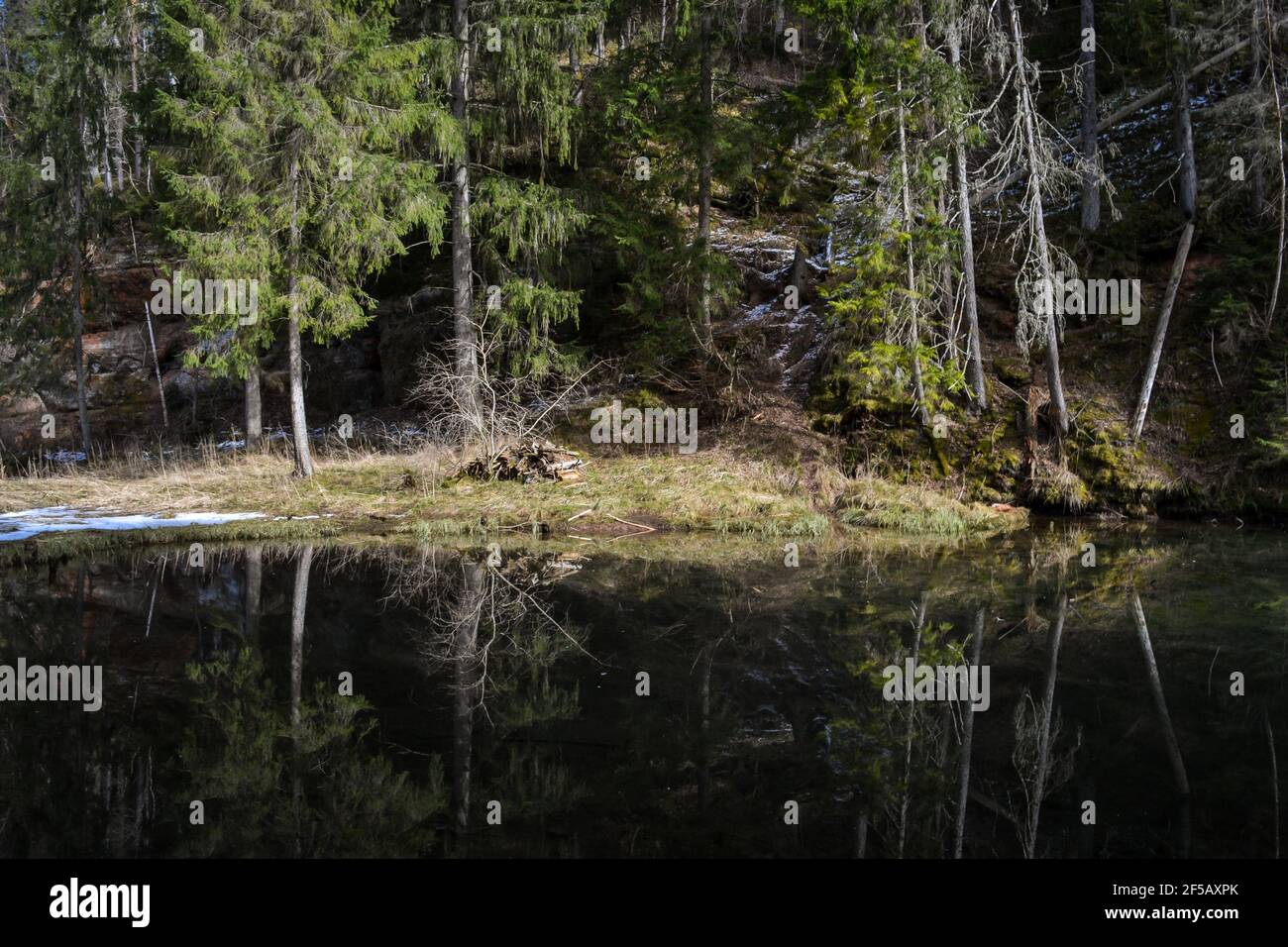 Beautiful river surrounded by forest with perfectly clean water with a ...