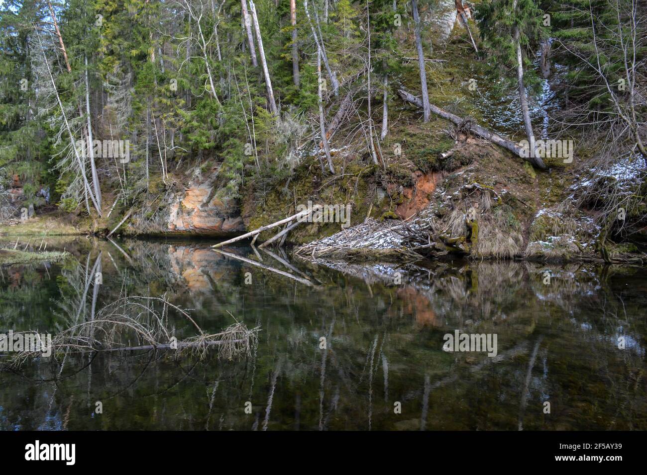 sandstone cliffs on the bank of a forest river with a perfect ...