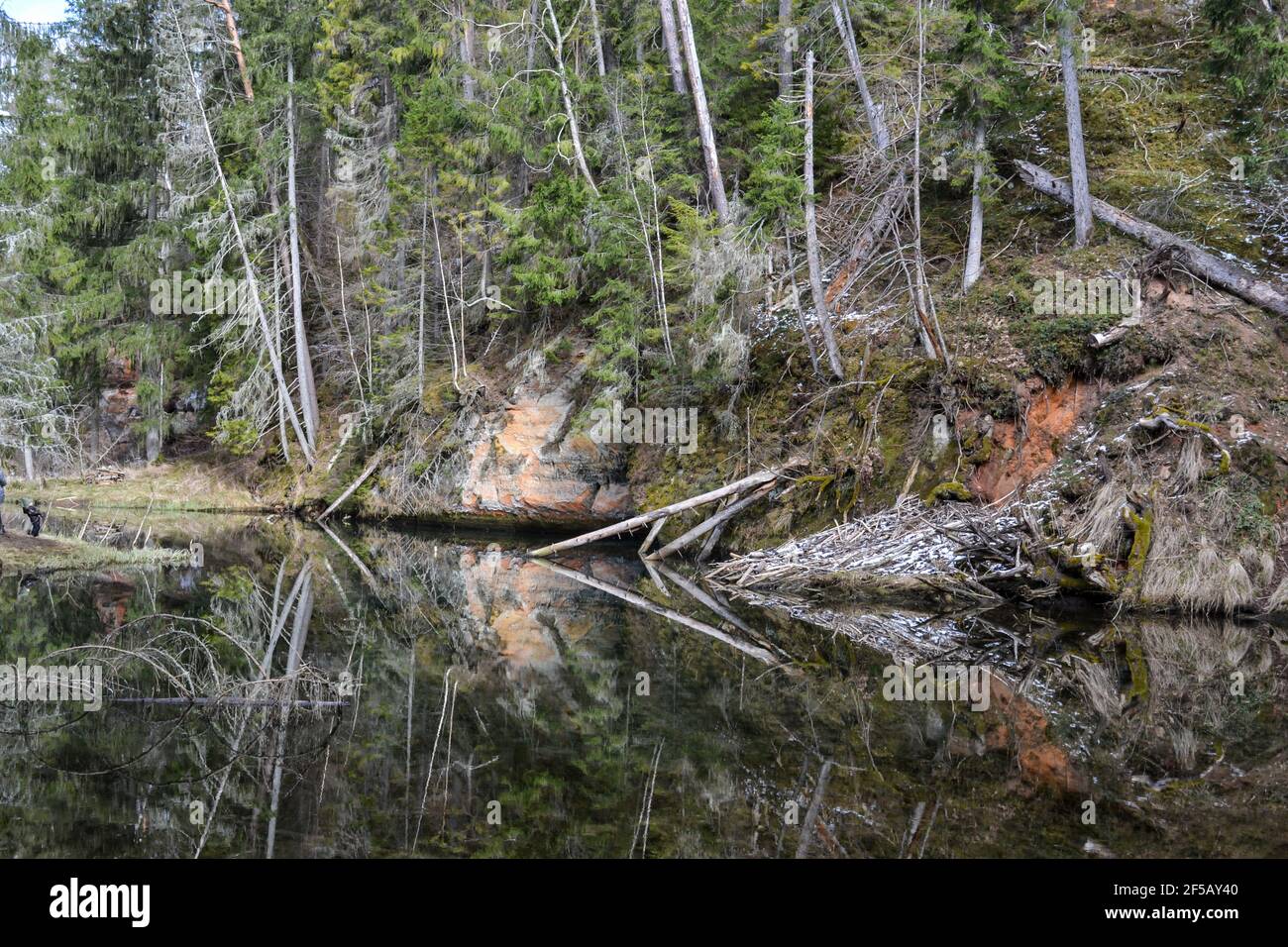 sandstone cliffs on the bank of a forest river with a perfect ...