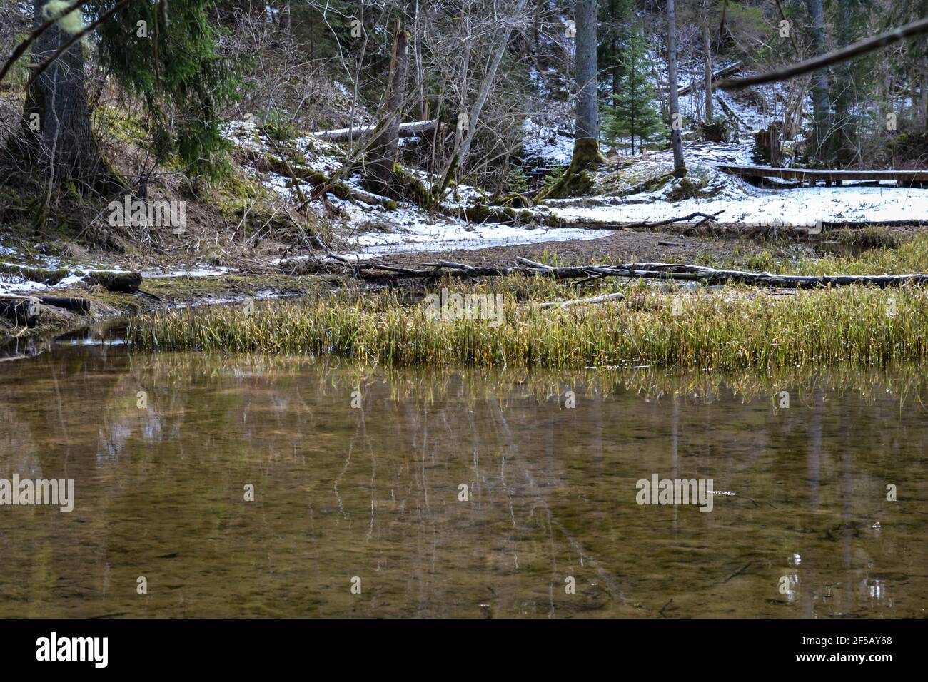 Fluvial landforms surrounded by streams hi-res stock photography and ...