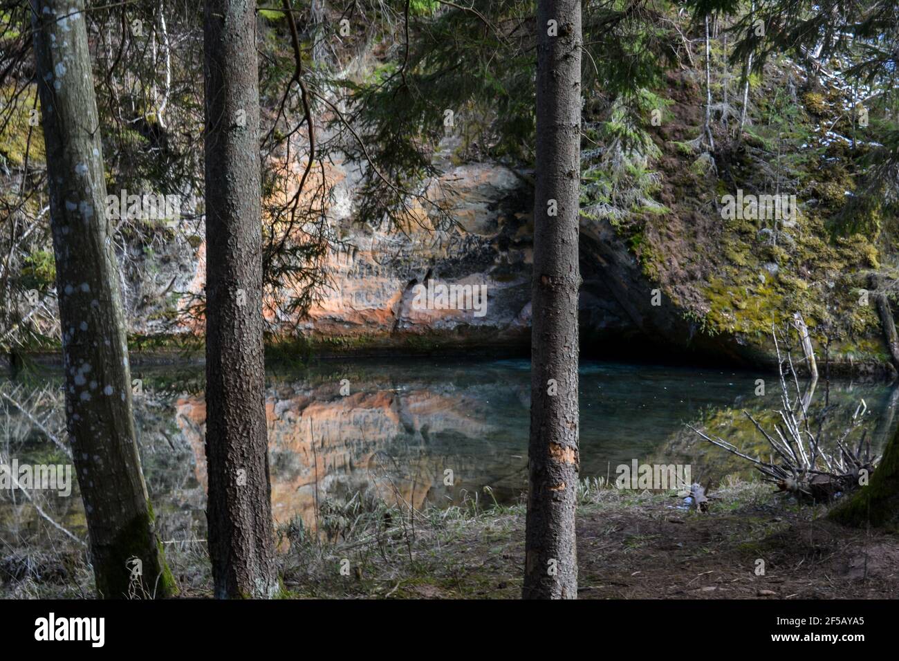 sandstone cliffs on the bank of a forest river with a perfect ...