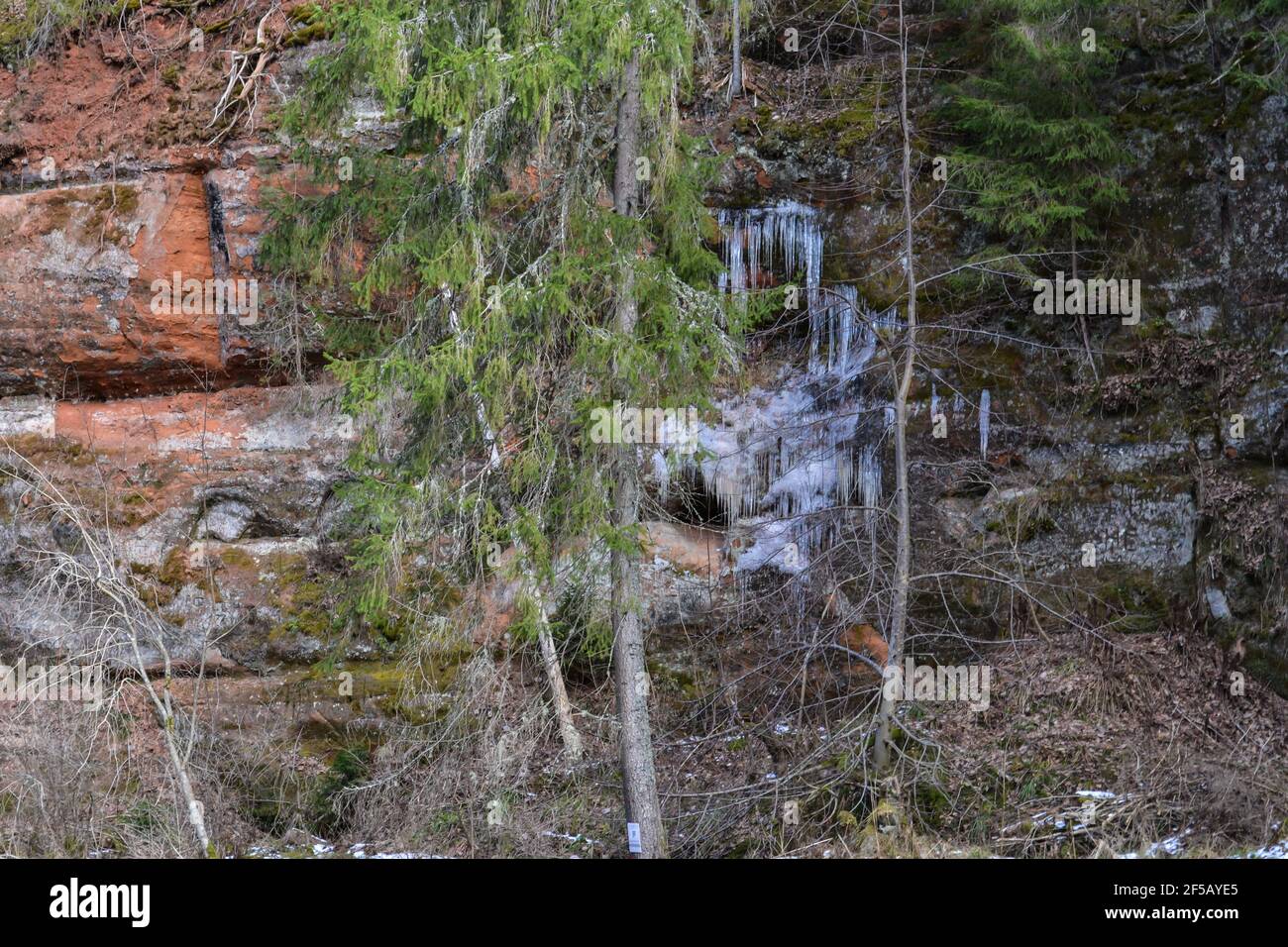 sandstone cliff pattern with orange clay rock and green trees in the ...
