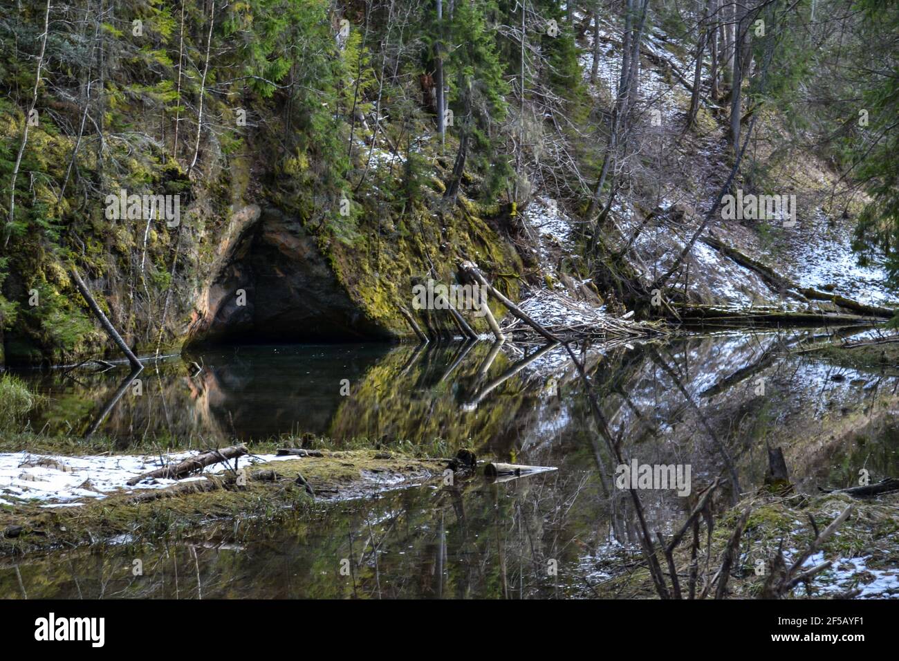 sandstone cliffs on the bank of a forest river with a perfect ...