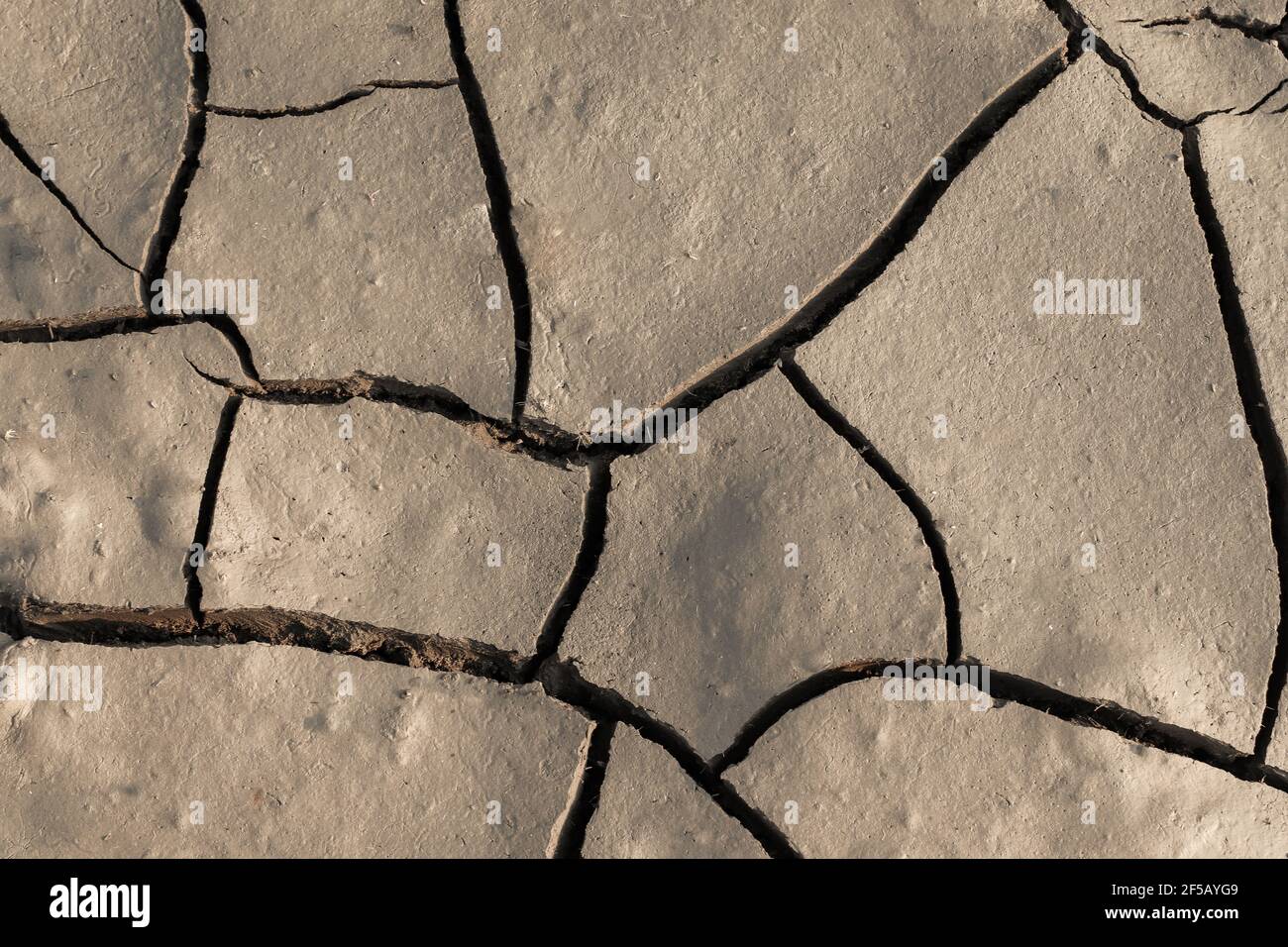 Black soil dry land cracked ground surface. landscape, poor soil Stock ...
