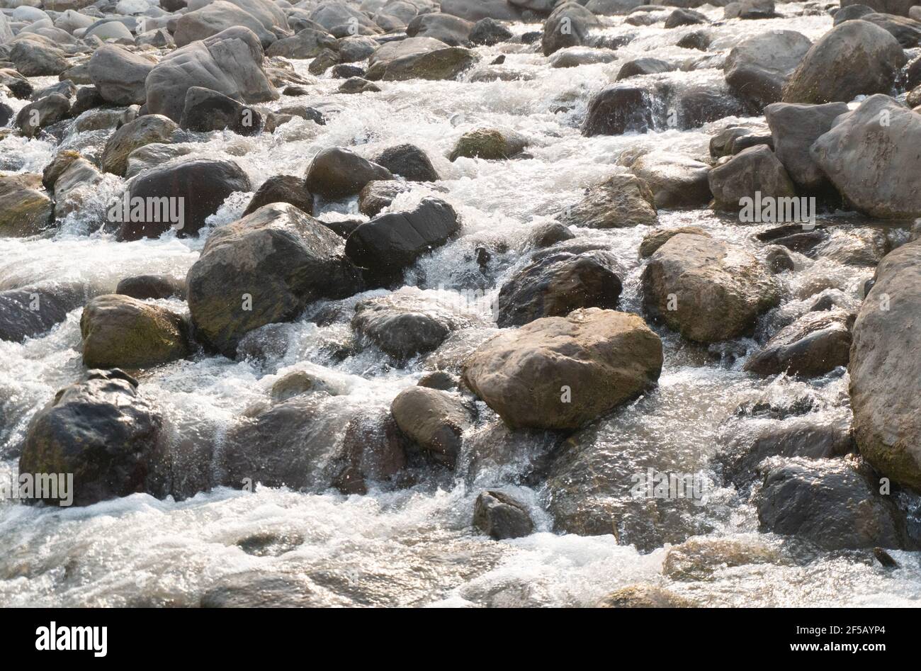 The water flowing in the fast currents hits the rocks and attracts ...