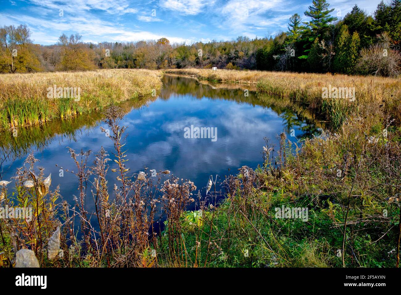 Autumn colour on the bank of a quiet river - bright blue sky and ...