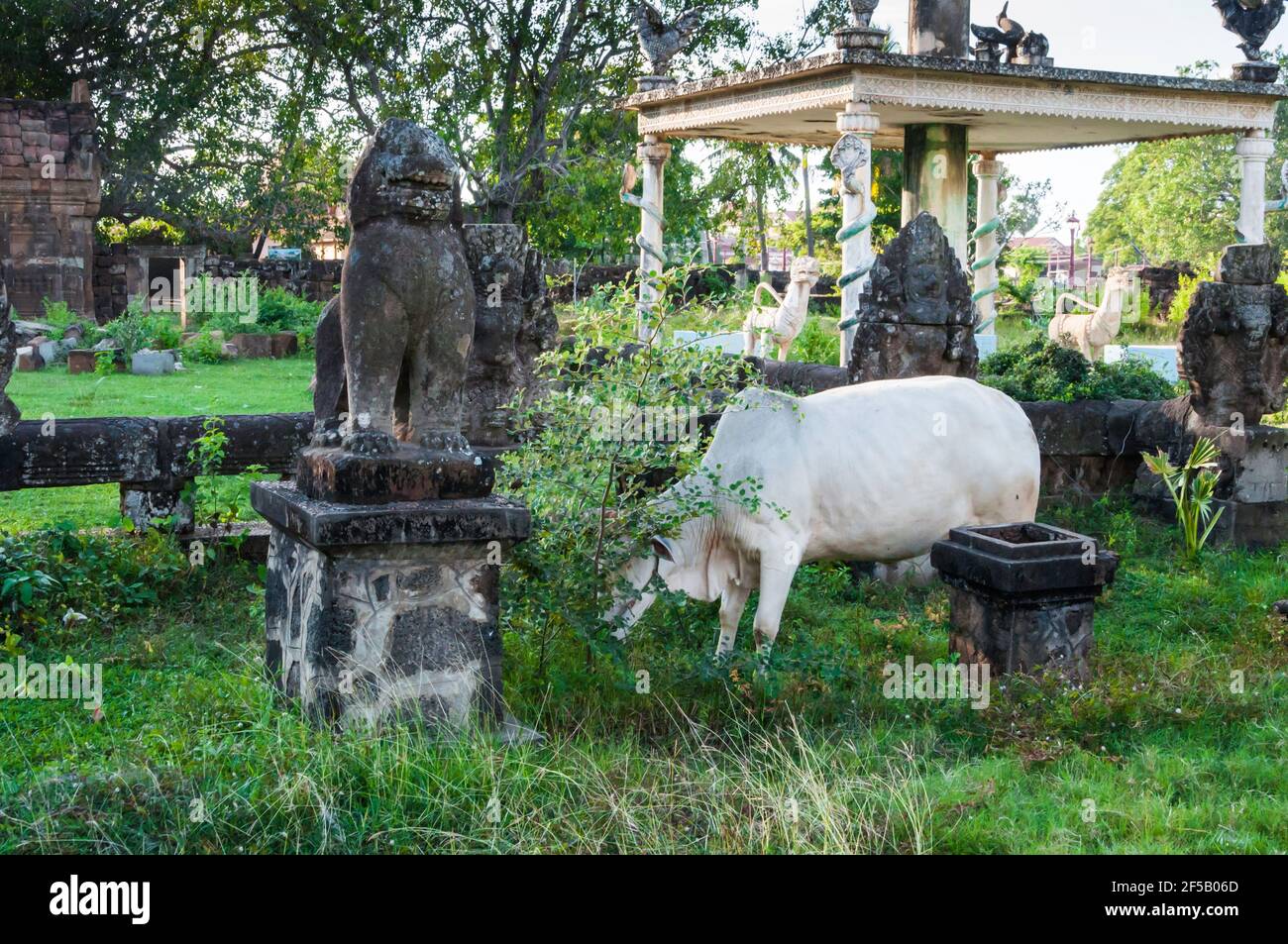 Holy Cow Statue High Resolution Stock Photography and Images - Alamy