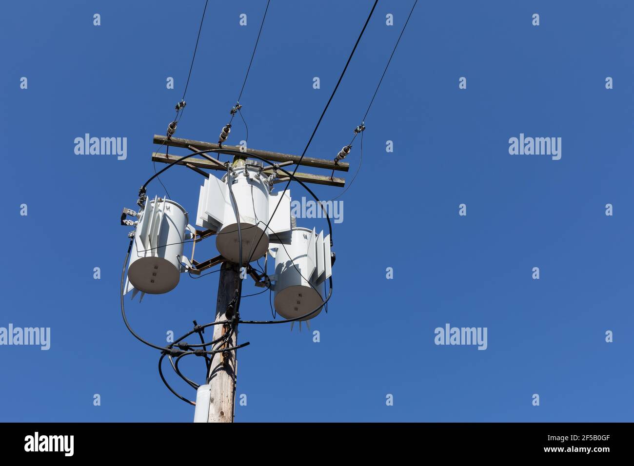 Tall wood electric pole with three transformers against a clear, deep ...