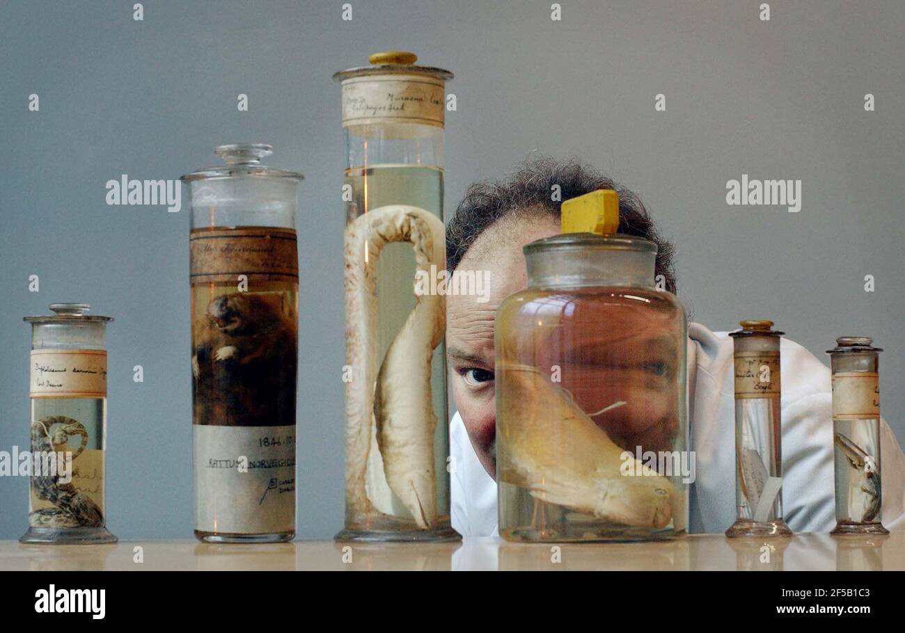 TO MARK THE ANNIVERSARY OF DARWINS BIRTH OLIVER CRIMMEN,FISH CURATOR AT ...