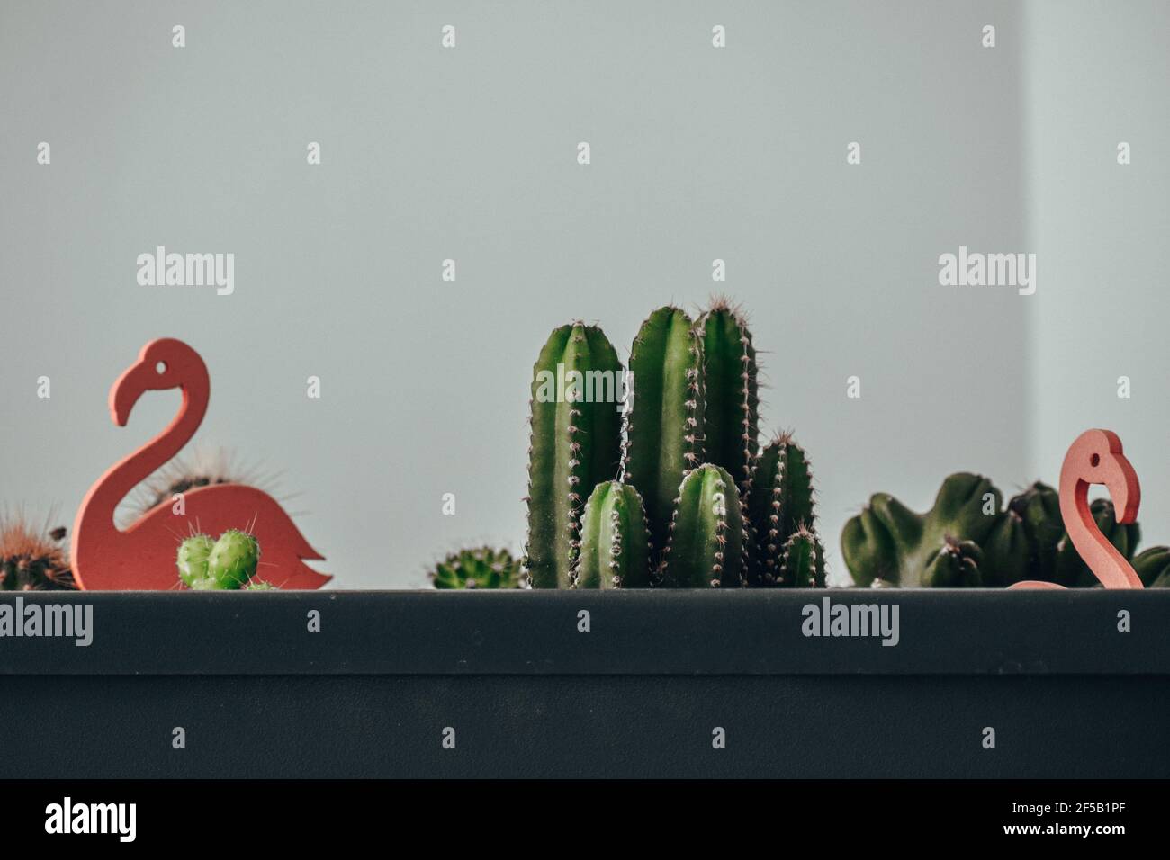 Closeup shot of cacti and decorative flamingos in the pot Stock Photo ...