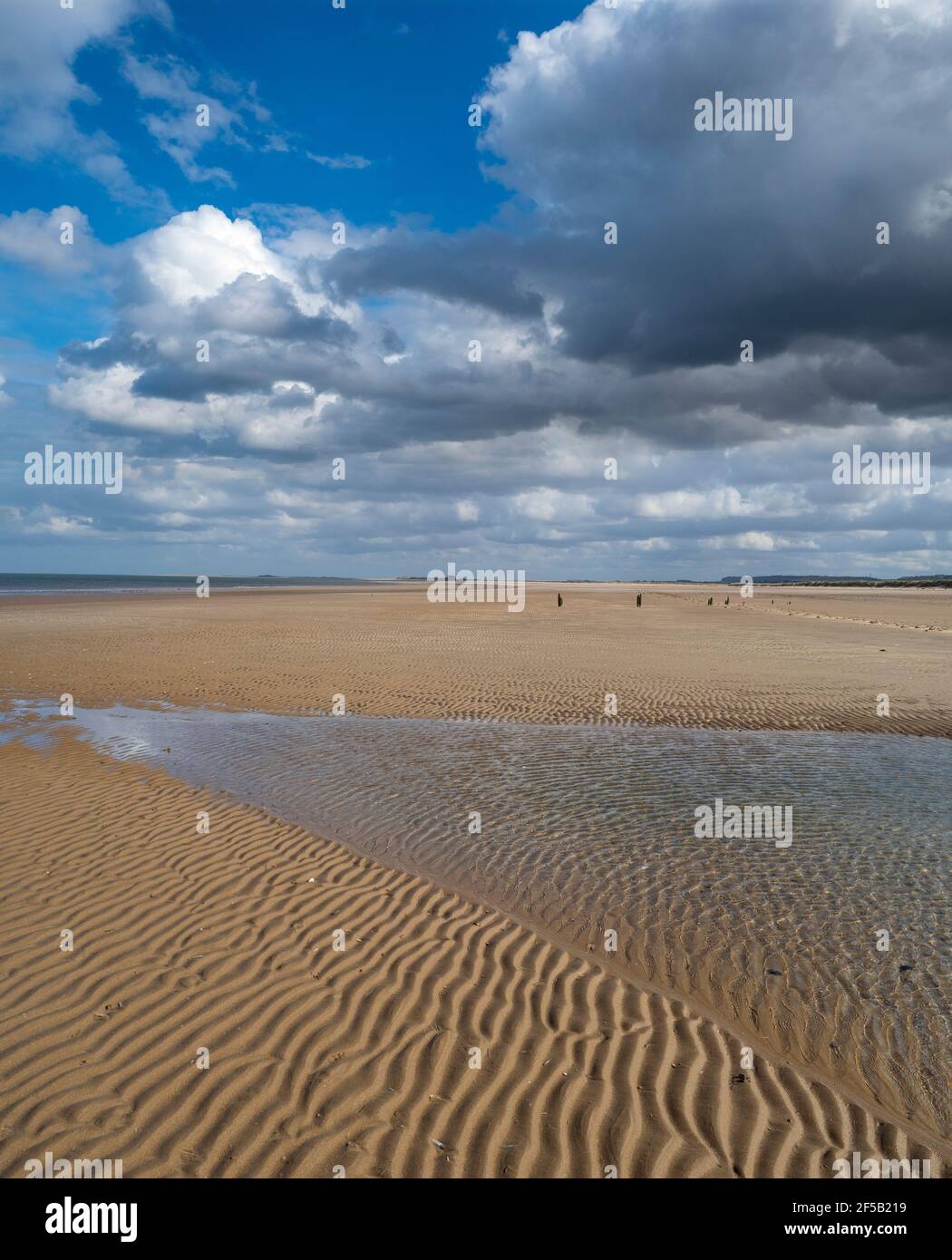 The RSPB Nature reserve and beach at Titchwell Marsh Norfolk Stock ...