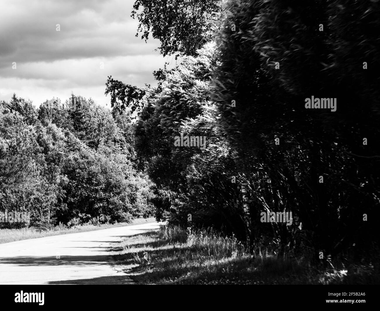 Summer country pathway Black and White Stock Photos & Images - Alamy