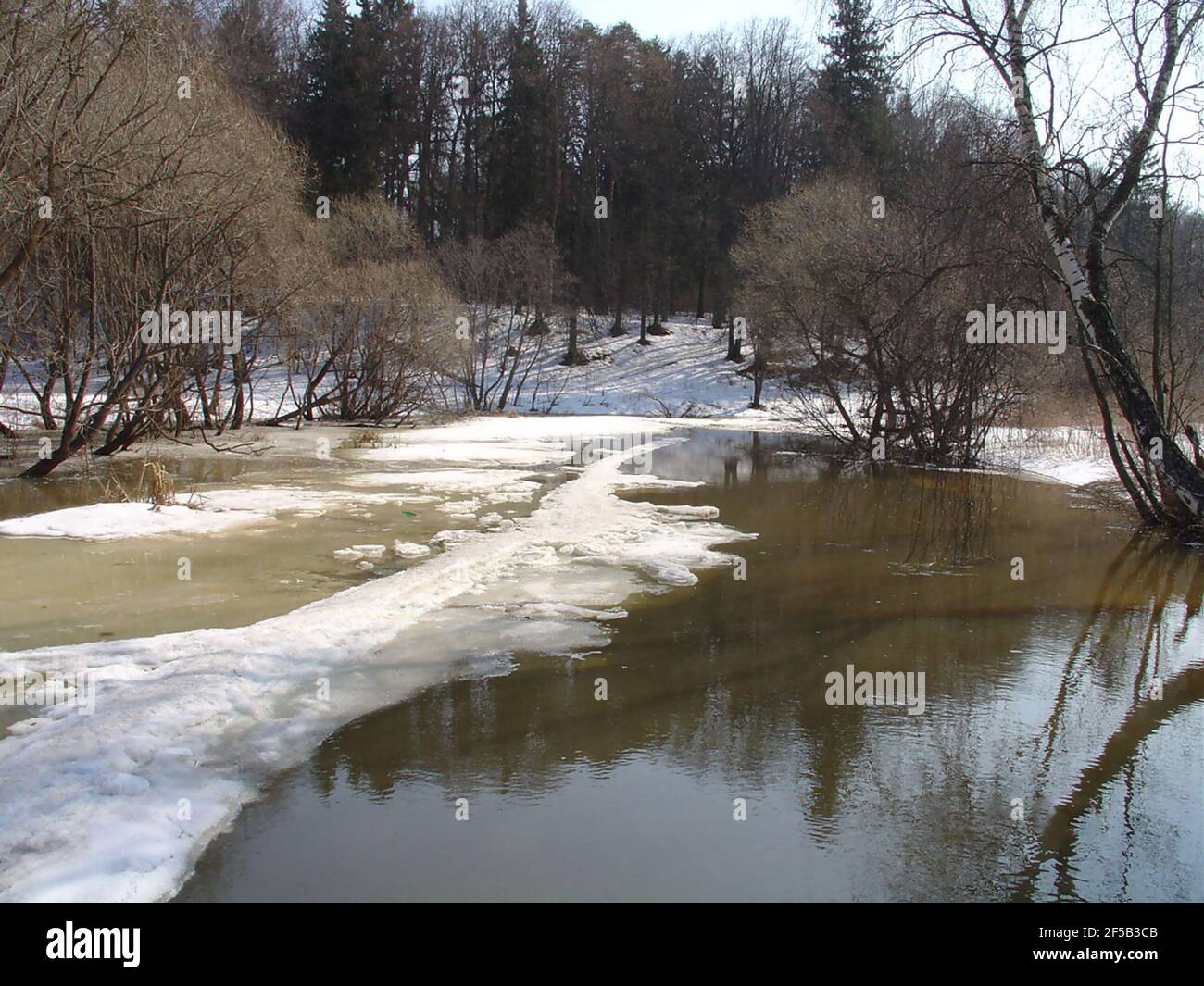 Beautiful spring view of melted snow nature landscape in forest. Spring ...